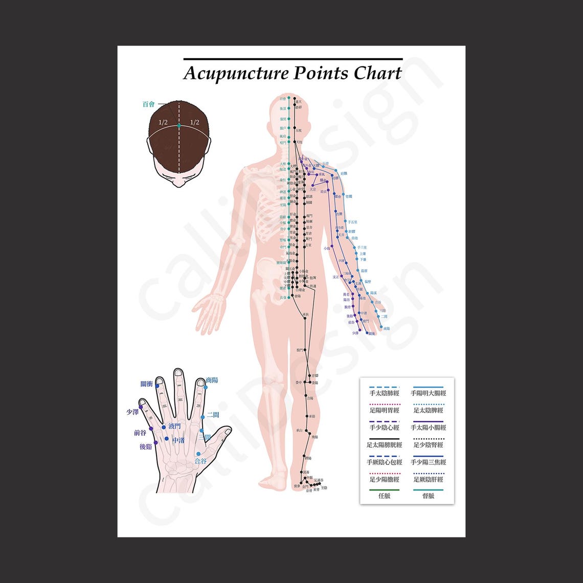 Acupuncture Points Chart Poster Three Types (a4jpg File) - Etsy