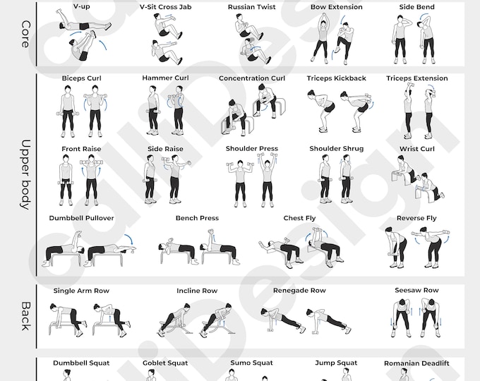 38 Types of Dumbbell Exercise Illustrations and 1 Type of Poster File ...