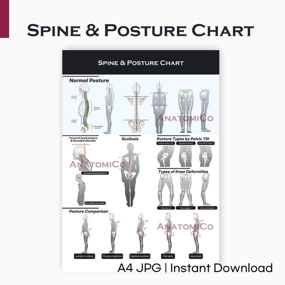 Abnormal Posturing Types