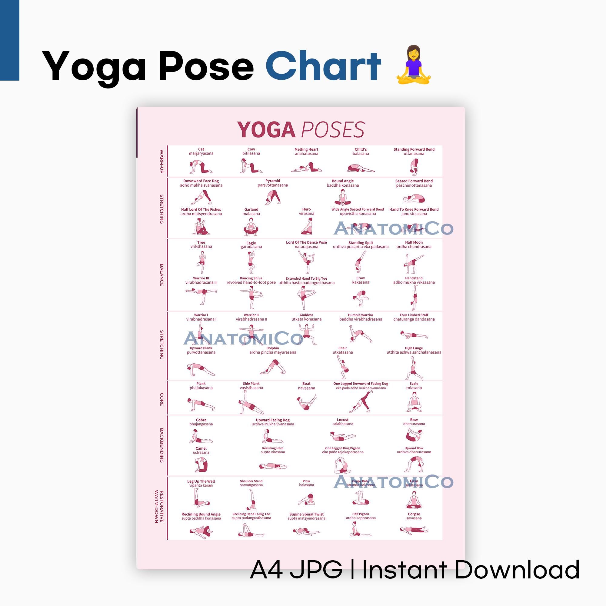Beginner Yoga Poses Poster (A4 JPG) – Printable Daily Practice Chart ...