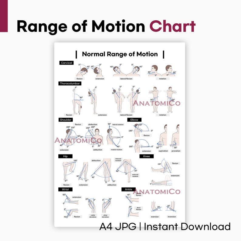 Range of Motion Chart: Printable ROM Reference Poster (A4 JPG) - Etsy