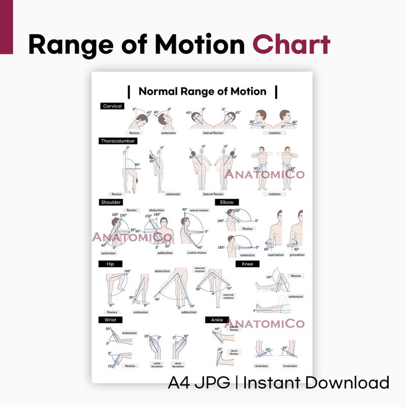 Sports Science Posters - Etsy