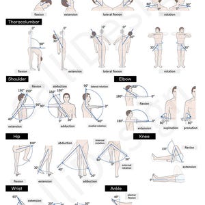 Range of Motion Chart (A4 JPG) – Printable ROM Reference Poster for ...