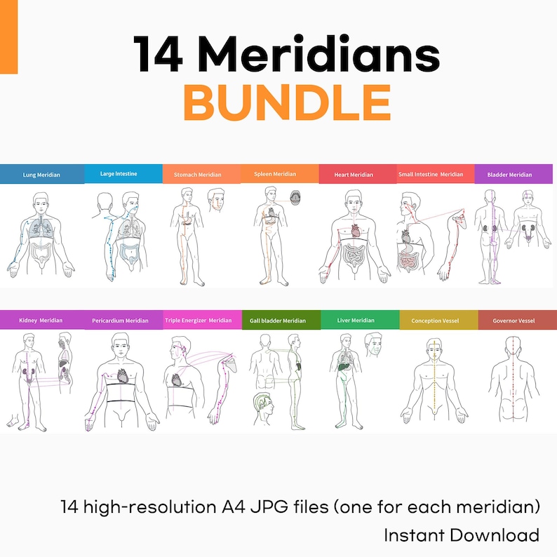 14 Meridians Illustration Bundle – A4 JPG Instant Download - Etsy