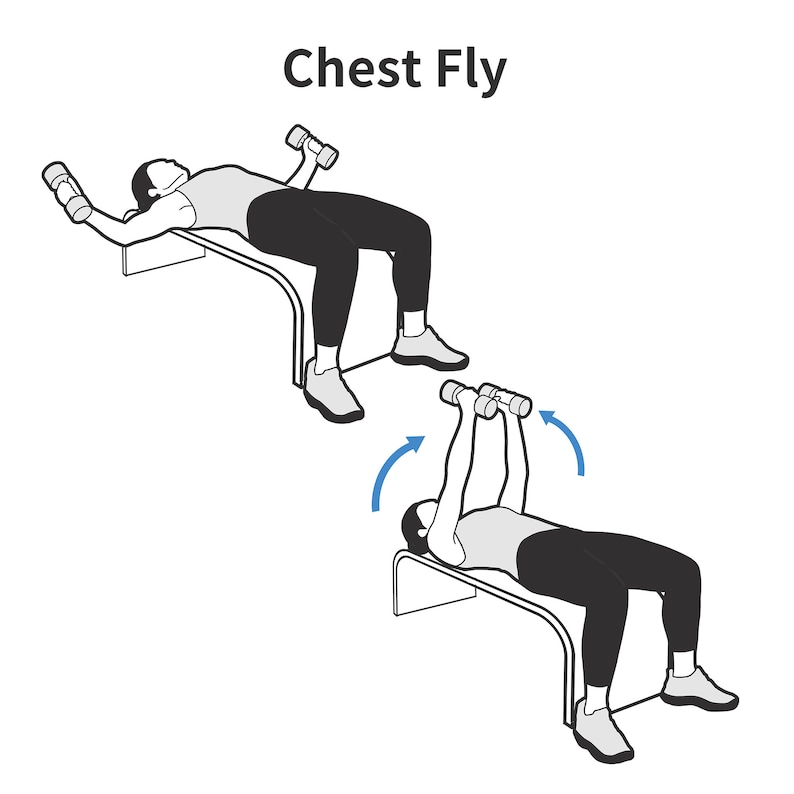 38 Types of Dumbbell Exercise Illustrations and 1 Type of Poster File ...