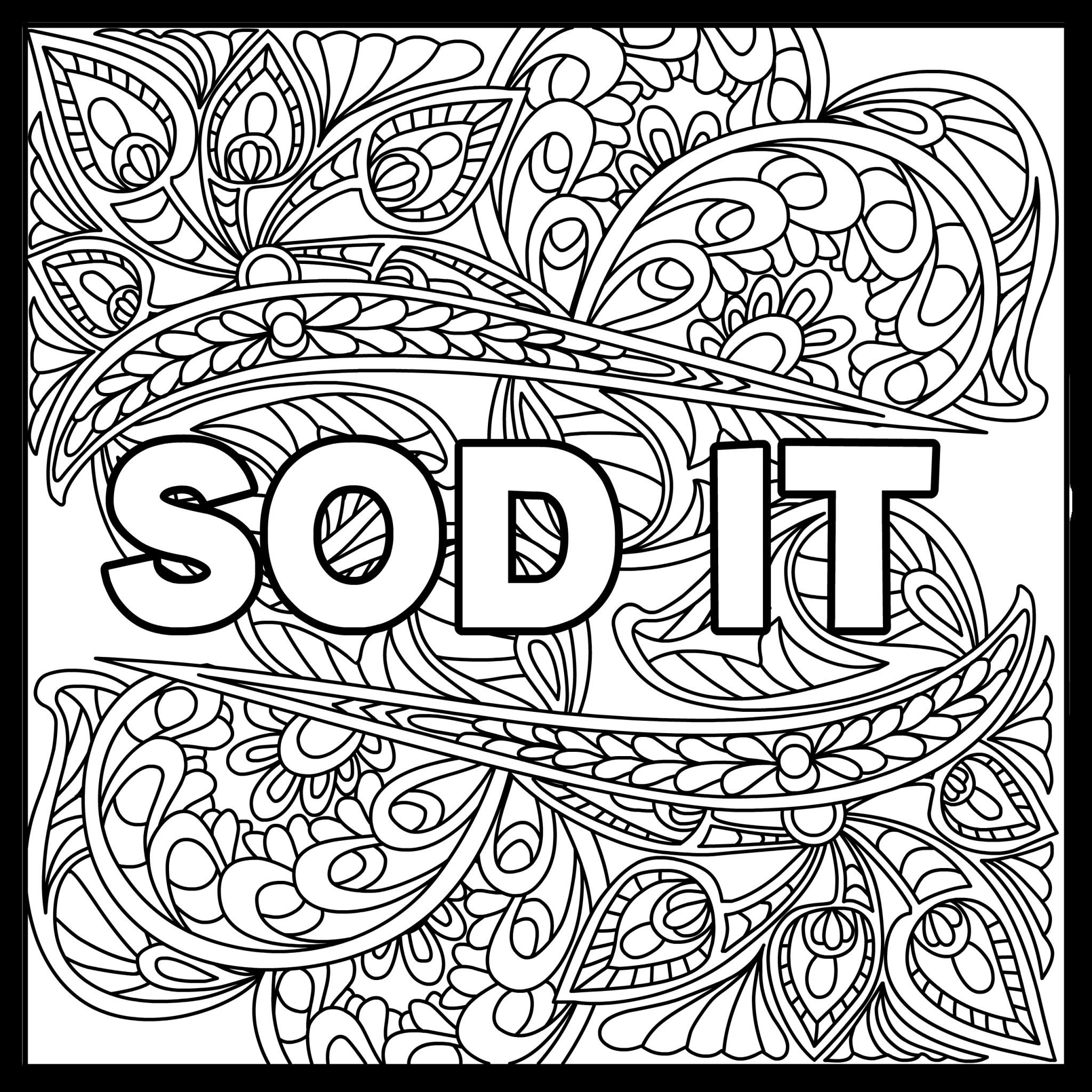 6 ADULT COLORING PAGES Set of 6 English "clean Cuss Words" Relaxation ...