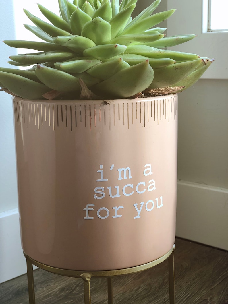 I'm a Succa for You Plant Pot Vinyl Decal Succulent Pun Cute Pot Decal ...