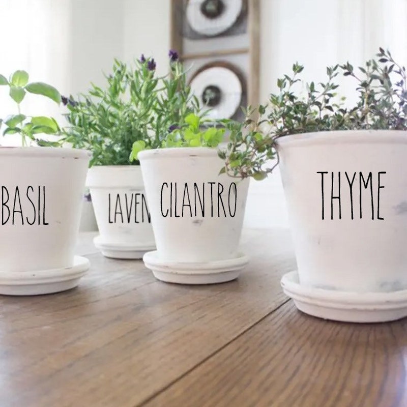 Plant Labels - Etsy