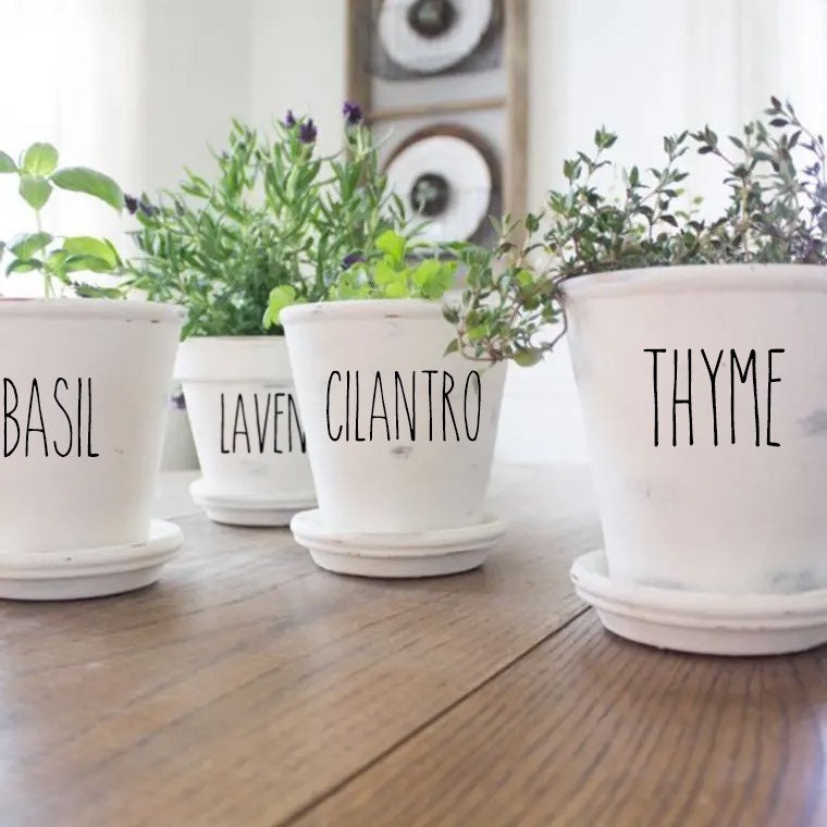 Herb Decals Potted Plant Labels Basil Label Oregano Label - Etsy
