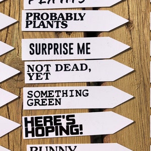 Funny Pun Plant Stakes | 4" Stake With Funny Plant Saying for Gardens ...
