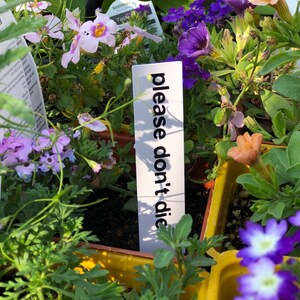 Funny Pun Plant Stakes | 4" Stake With Funny Plant Saying for Gardens ...