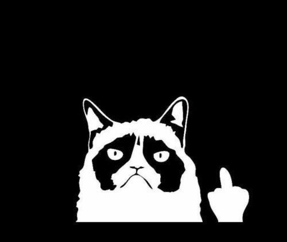 Grumpy Cat Vinyl Decal Sticker Laptop Decal Car Decal Cute | Etsy