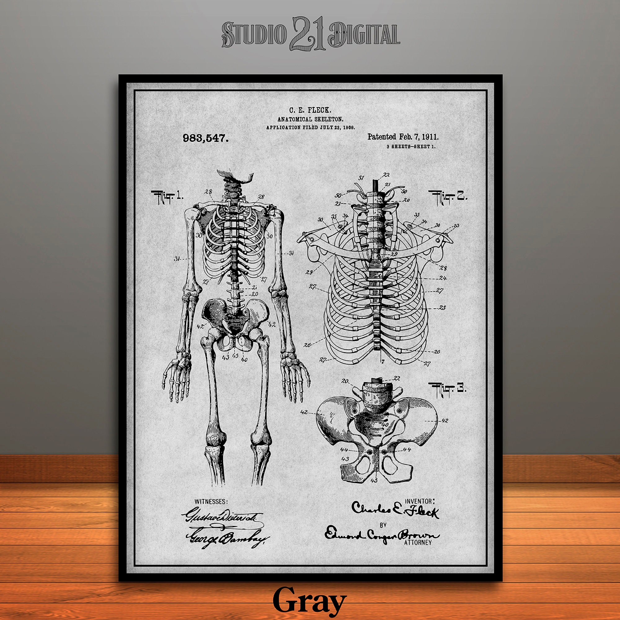 1909 Anatomical Skeleton Patent Digital Download, Medical Wall Art - Etsy