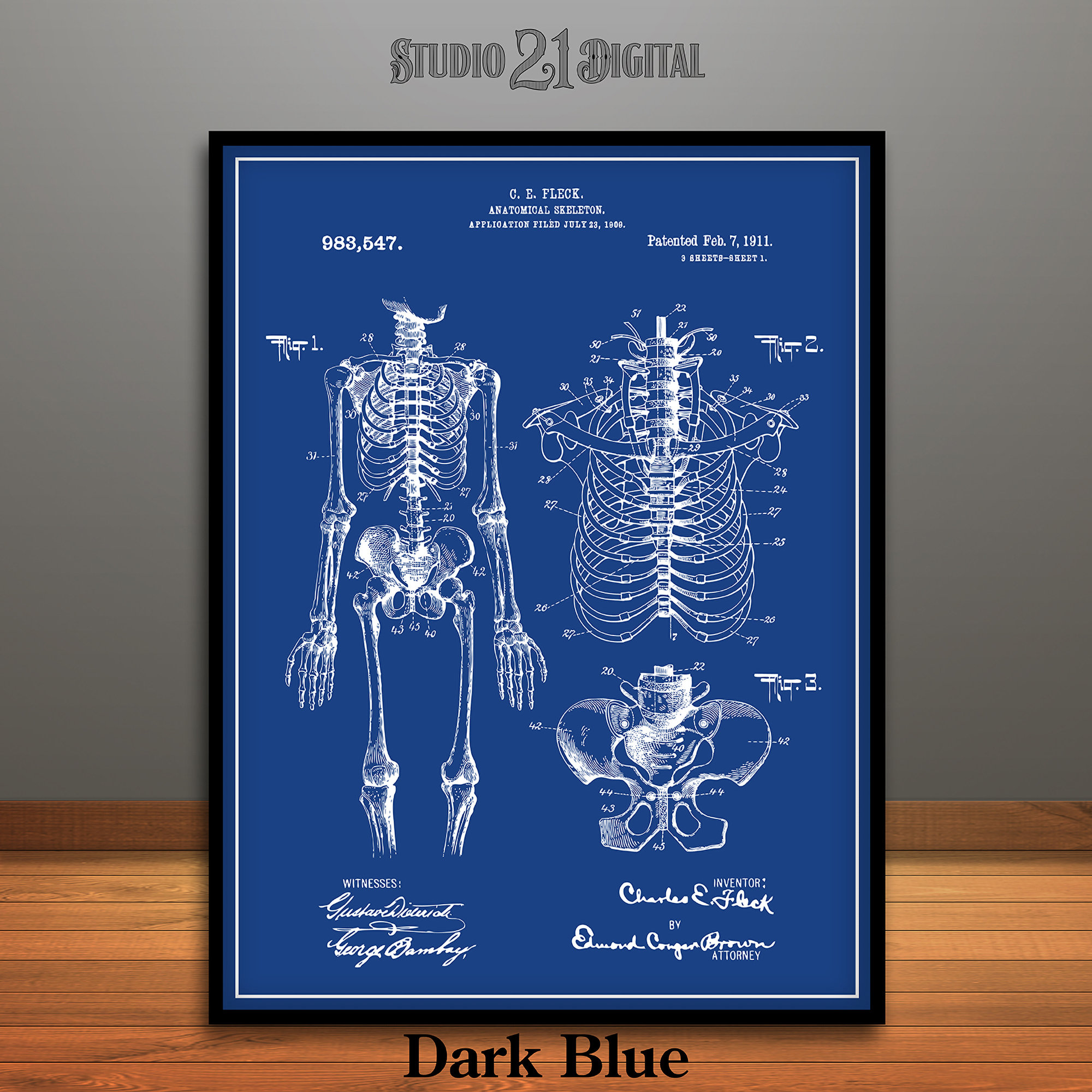 1909 Anatomical Skeleton Patent Digital Download, Medical Wall Art - Etsy
