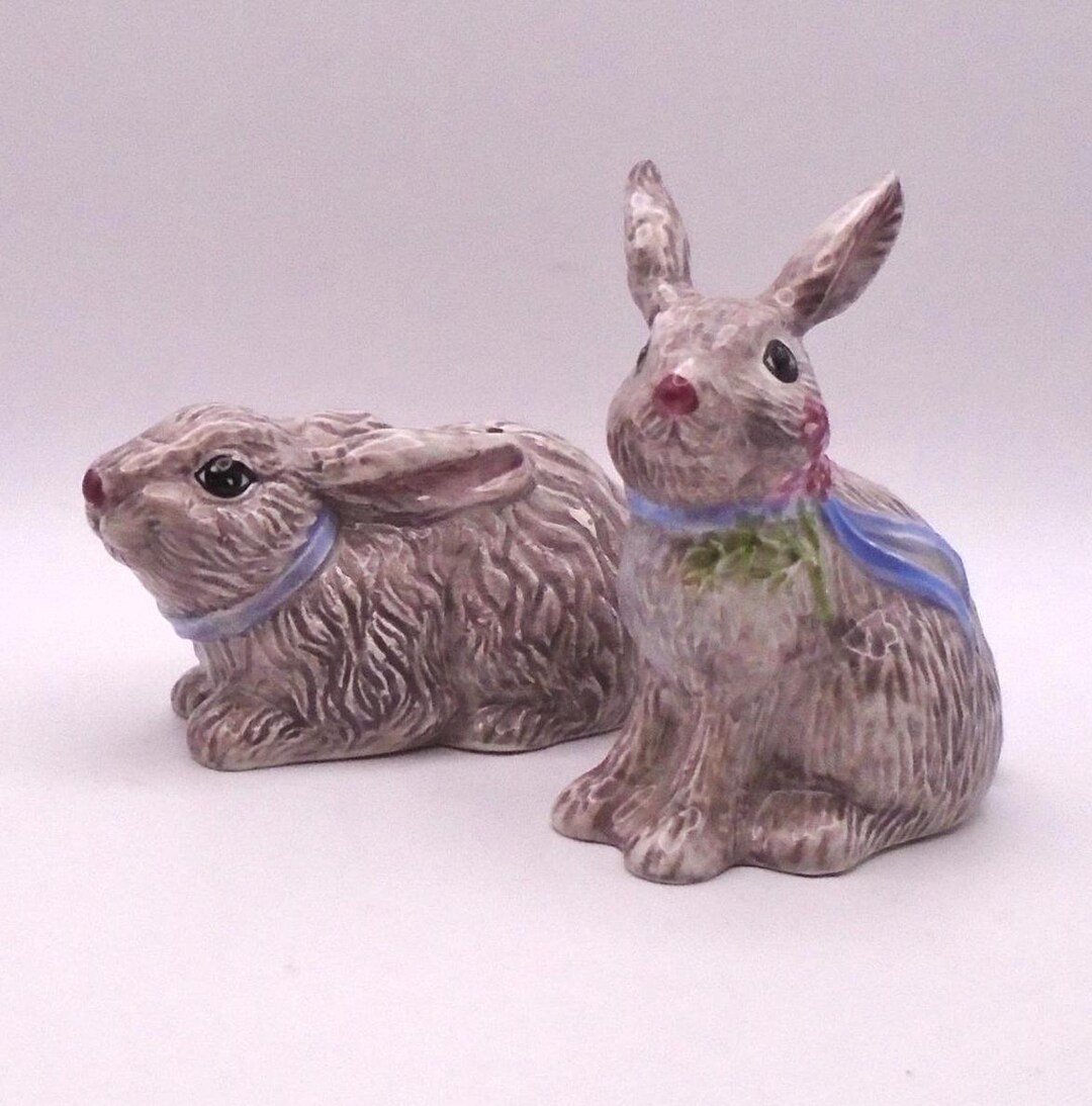 Vintage Danna Cullen's Meadow Bunny Pattern Salt and Pepper Shaker Set, Country Kitchen - Etsy