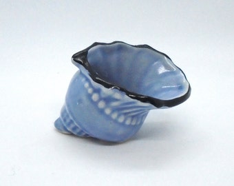 Blue Conch Shell - Etsy