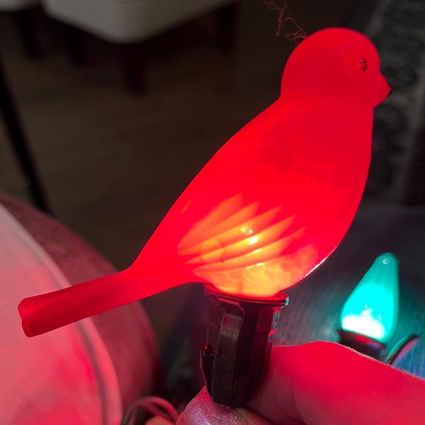 Bird Light - Etsy