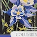 Columbine Pattern Booklet- Melinda Bula Designs - Etsy
