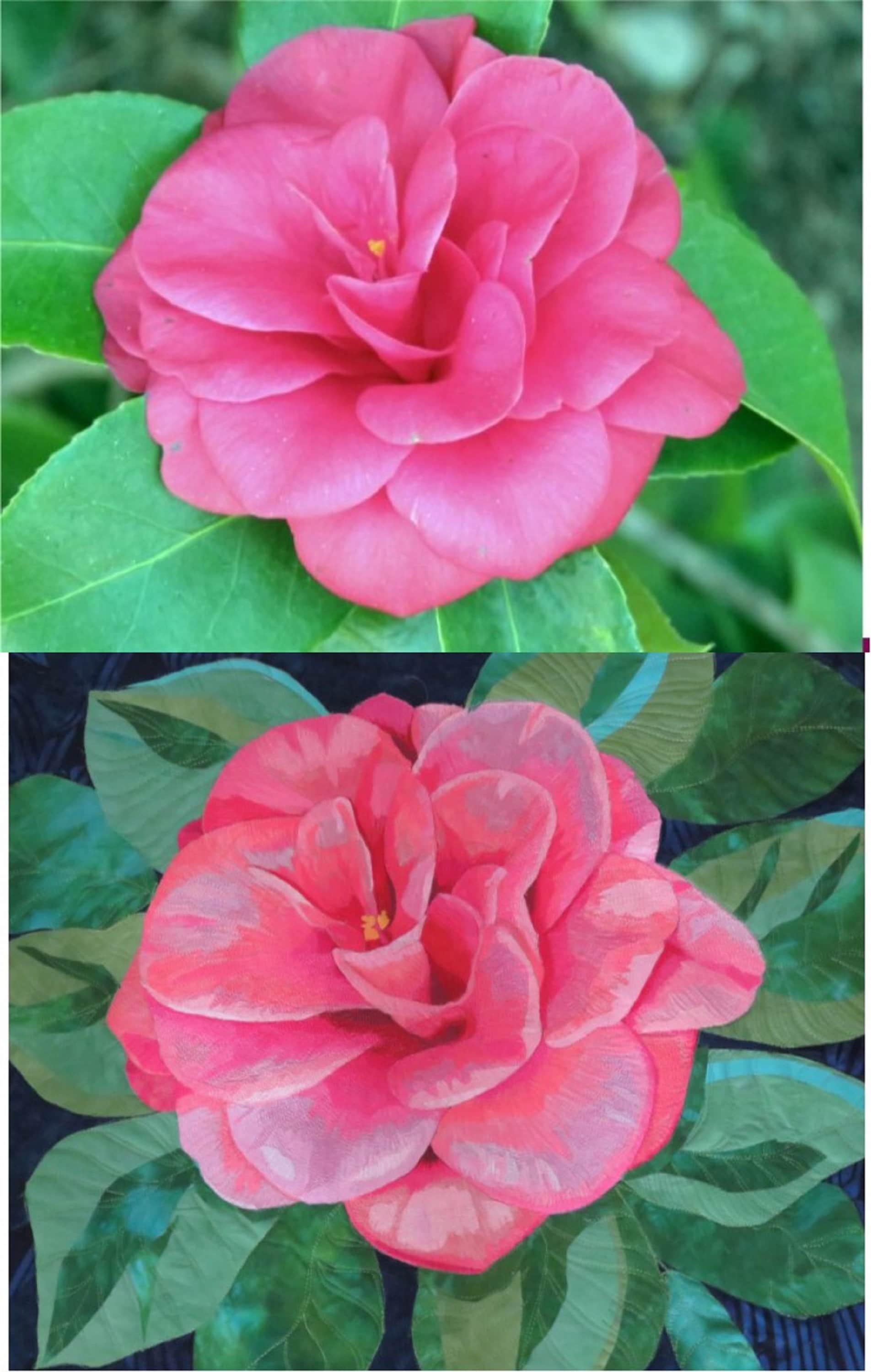 DVDs by American Quilters Society Fabulous Flower Photo Quilts with ...