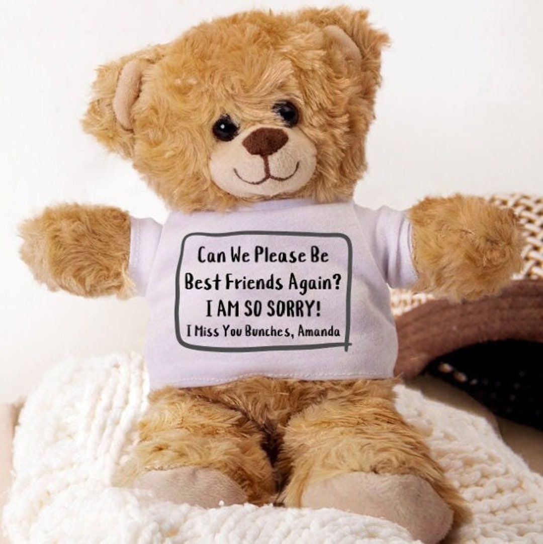 Apology Gifts for Best Friend, Apology Gifts for Friend, I'm Sorry Gift ...