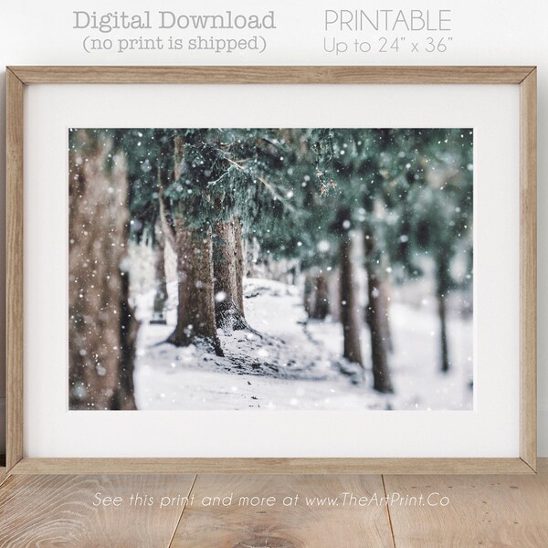 Winter Tree Print - Etsy