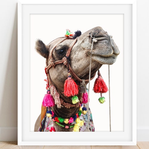 Desert Animal Print Camel Art Print Digital Download Boho - Etsy