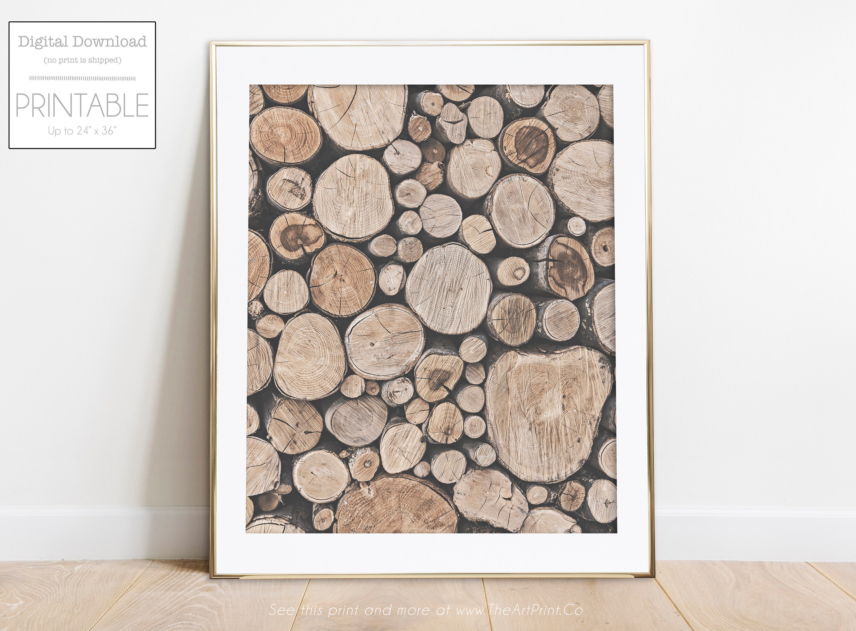 Tree Rings Tree Ring Art Print Large Wall Art Wood Wood | Etsy