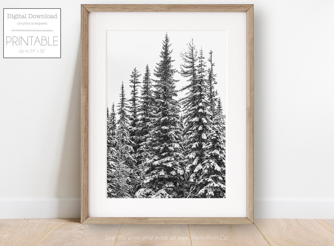 Snowy Trees Print Nordic Wall Art Prints Winter Decor Snow Covered ...
