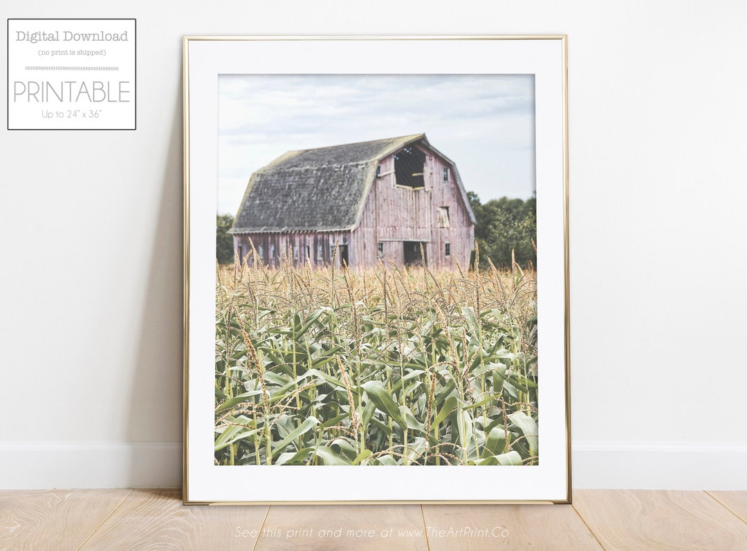 Old Barn Print With Corn Field, Farmhouse Art, Farm Digital Print Decor ...