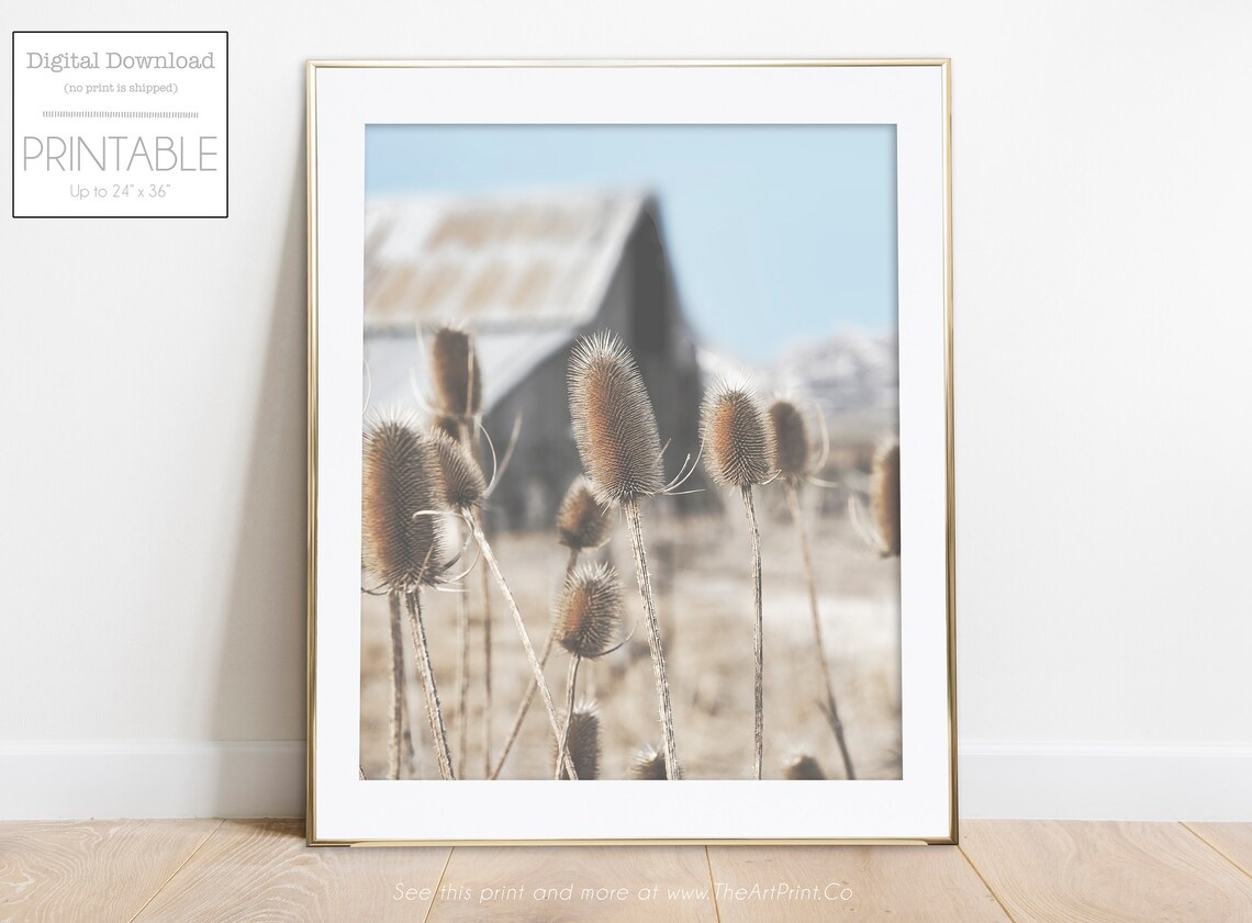 Farmhouse Printable Boho Wall Art Pampas Grass Print Rustic | Etsy