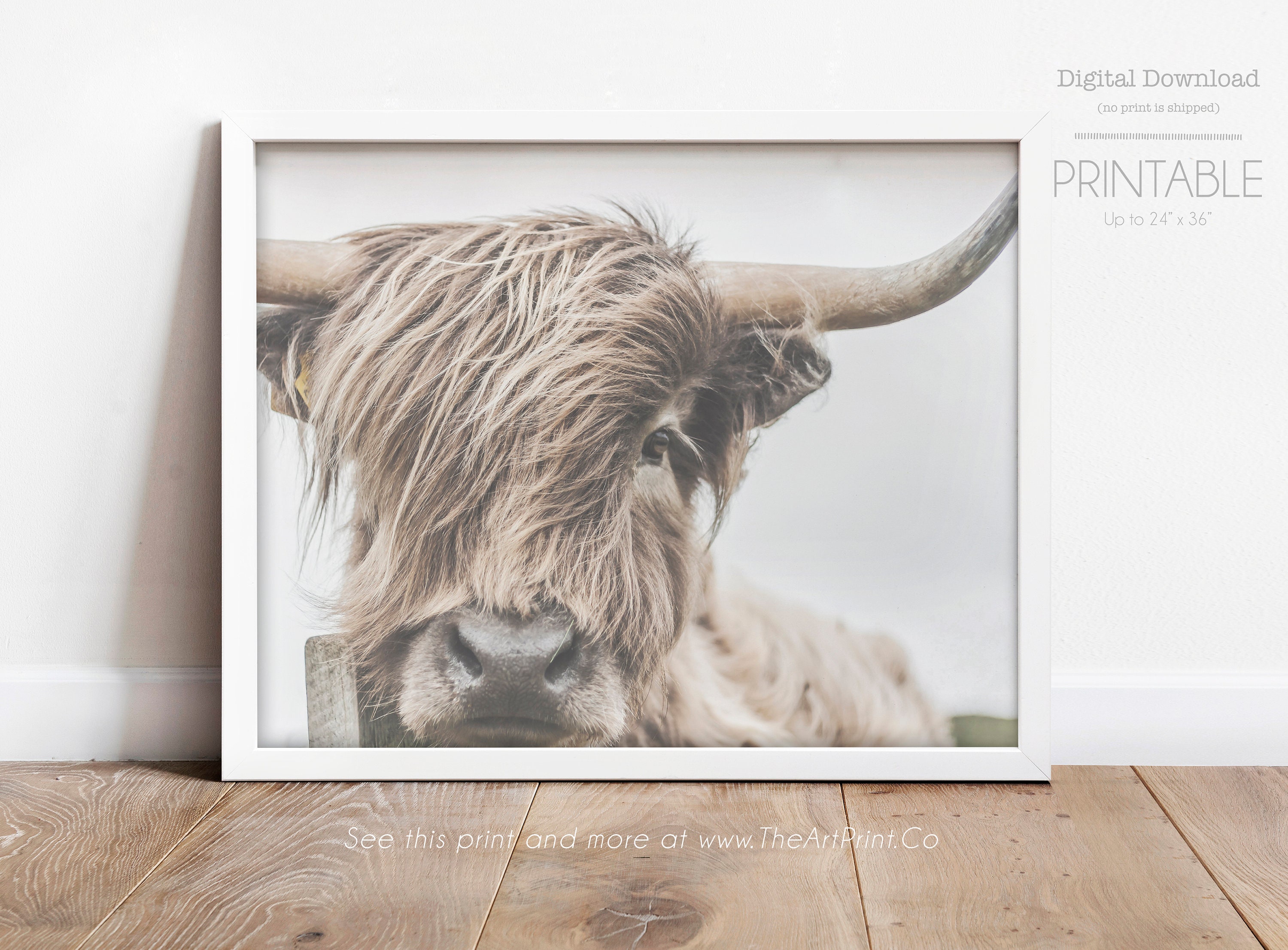 Highland Cow Print Farm Printable Farmhouse Decor Nordic - Etsy Canada