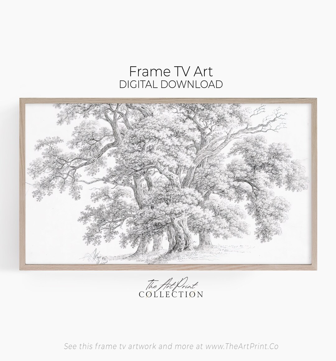 Vintage Tree Sketch for Frame TV, Etching Wall Art for Frame TV ...