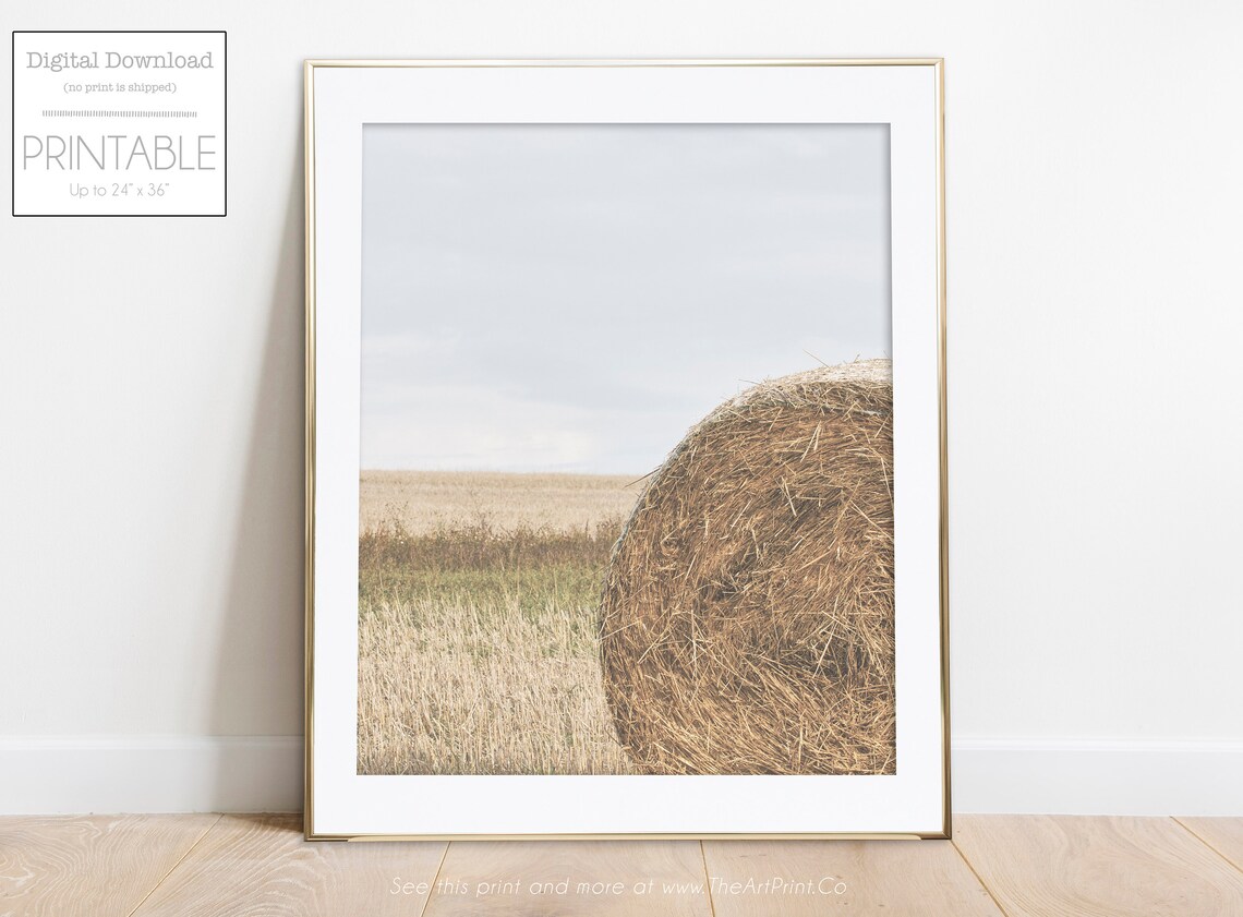 Hay Field Print Rustic Art Farm Poster Farmhouse Wall Art Farm - Etsy