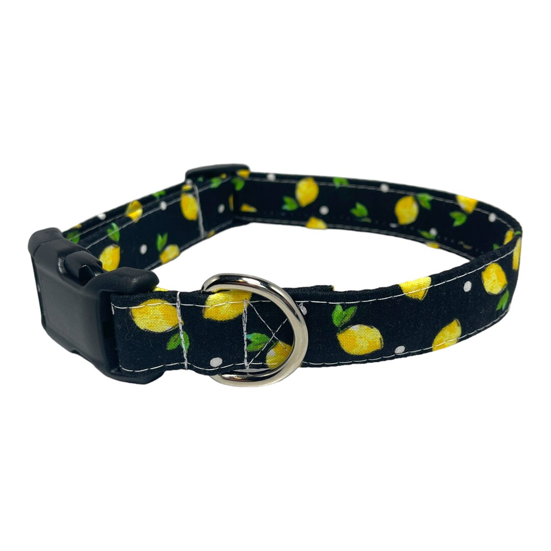 Personalized “when Life Gives You Lemons” Dog Collar - Dog Collar With ...