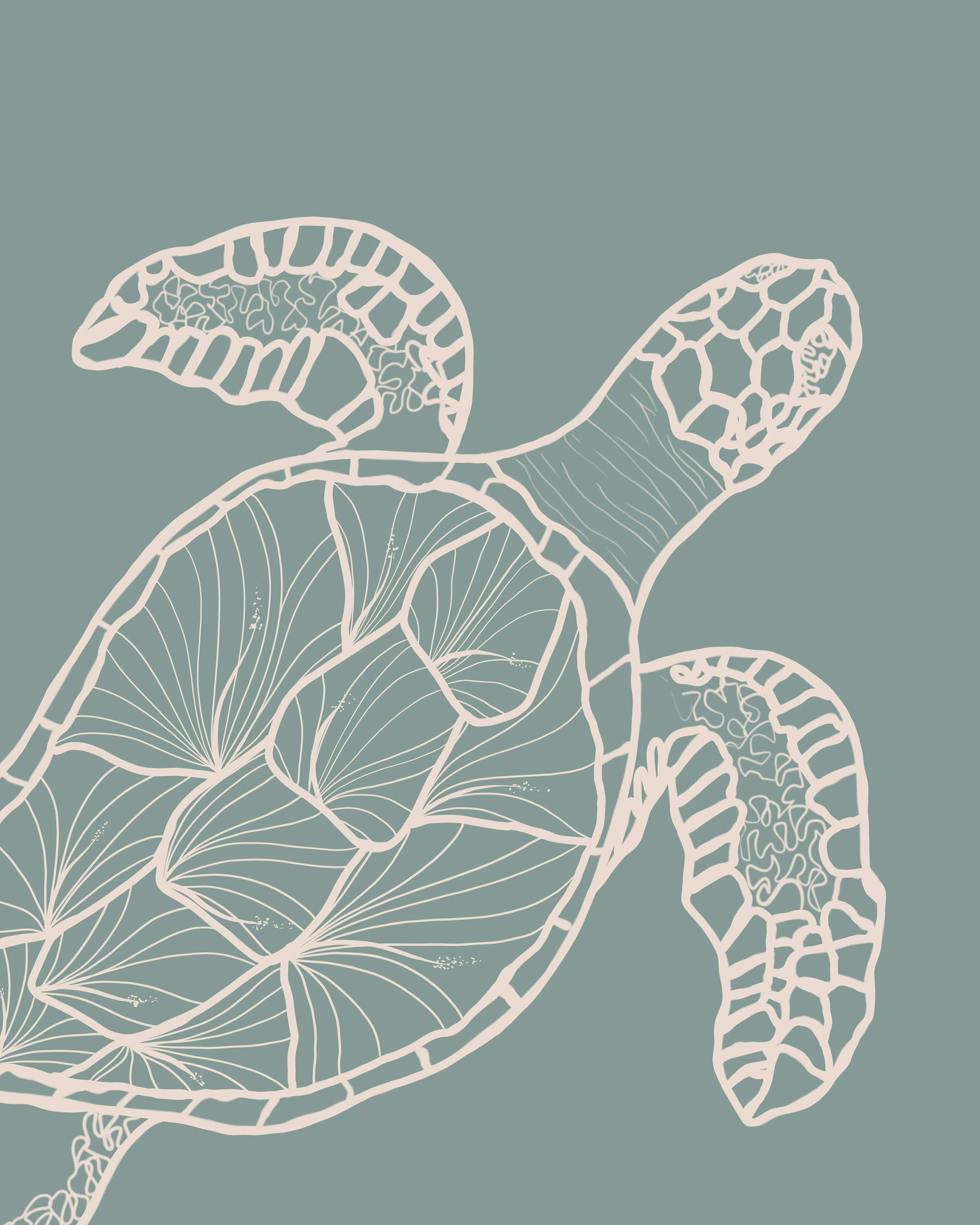 Easy Scratch Art Turtle
