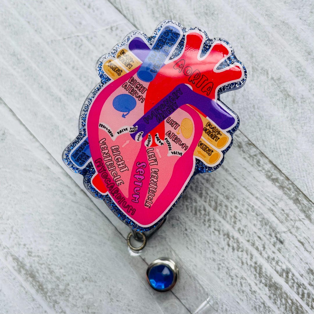 Anatomical Heart Badge Reel W/ Labeling - Etsy