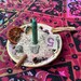 Money Bowl Kit - Etsy