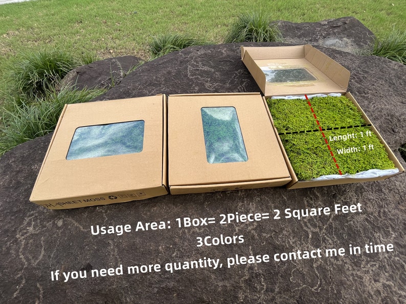 2sq Ft Preserved Sheet Moss: Stabilized Natural Green DIY Craft - Etsy