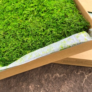Forest / Flat Moss | Natural Green | Premium Preserved Carpet Moss ...