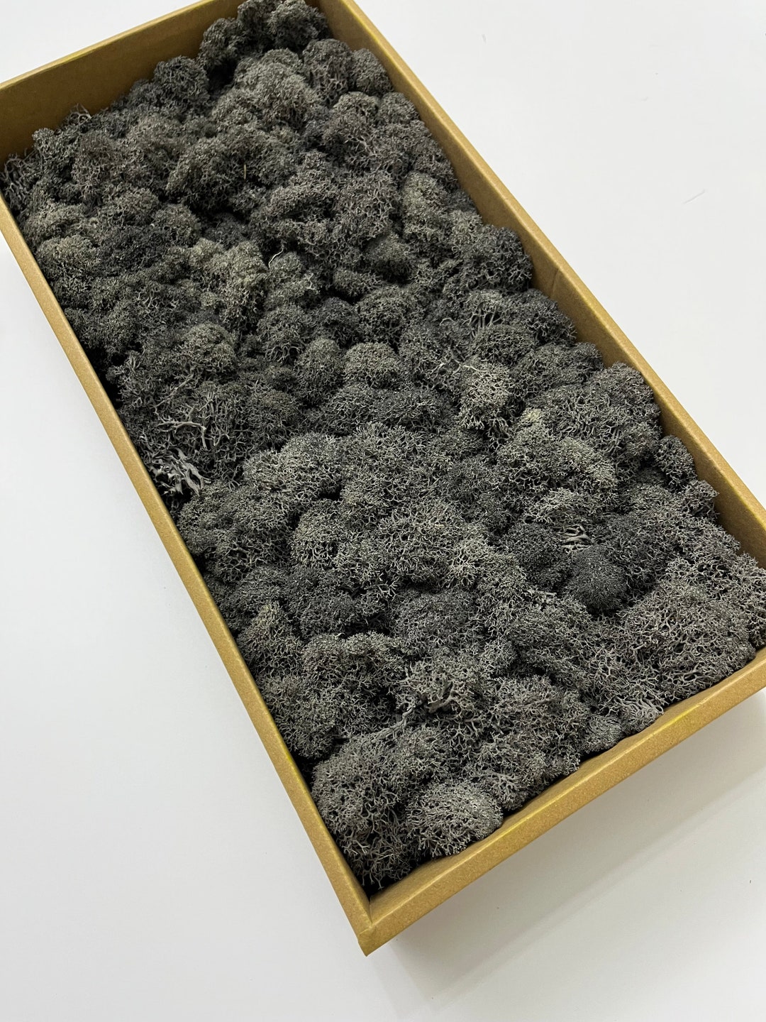 Preserved Reindeer Moss / Lichen Moss Decor, Moss Home Decor, Moss Wall ...