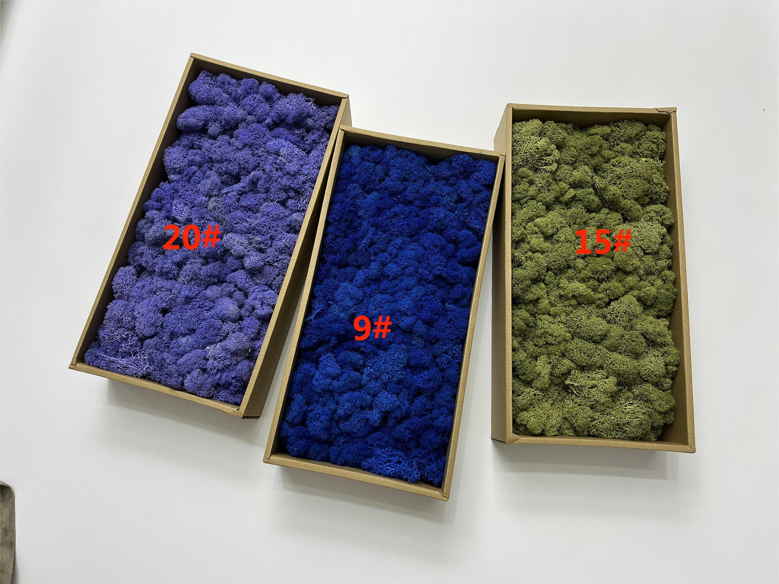 15oz Reindeer Preserved Moss Lichen Moss for Botanical Wall - Etsy