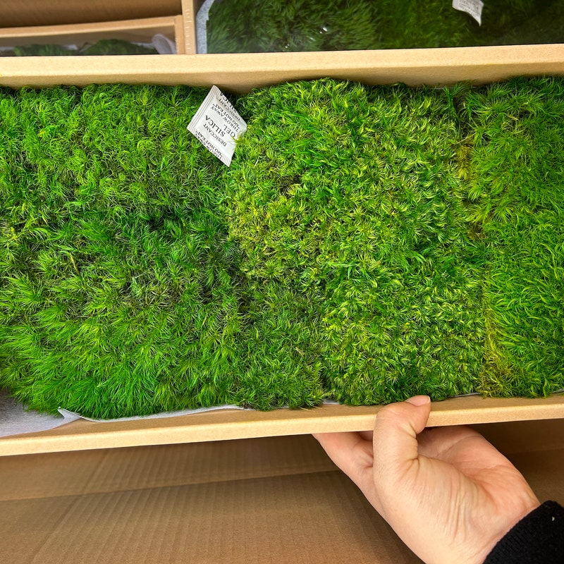 Moss Wreath - Etsy