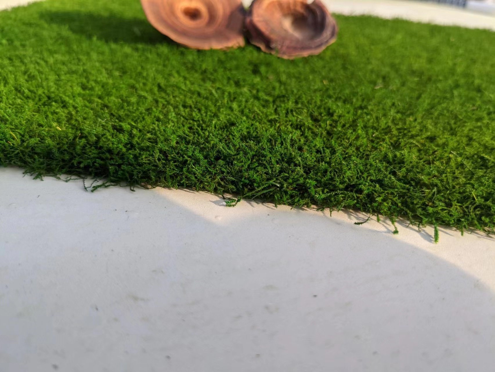 10.8square Feet Sheet Moss, Preserved Green Moss for Fairy Tale Garden ...