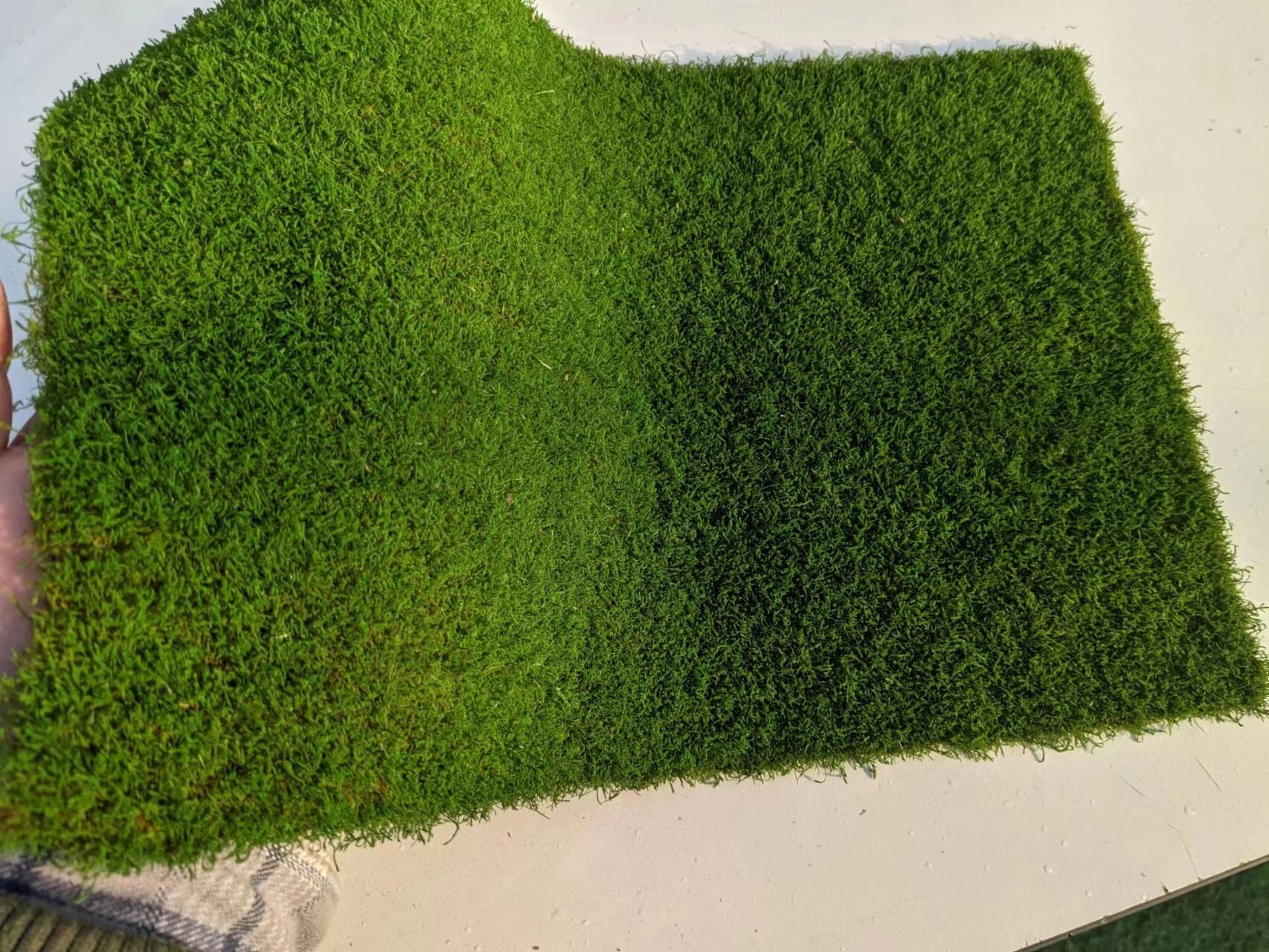 10.8square Feet Sheet Moss, Preserved Green Moss for Fairy Tale Garden ...