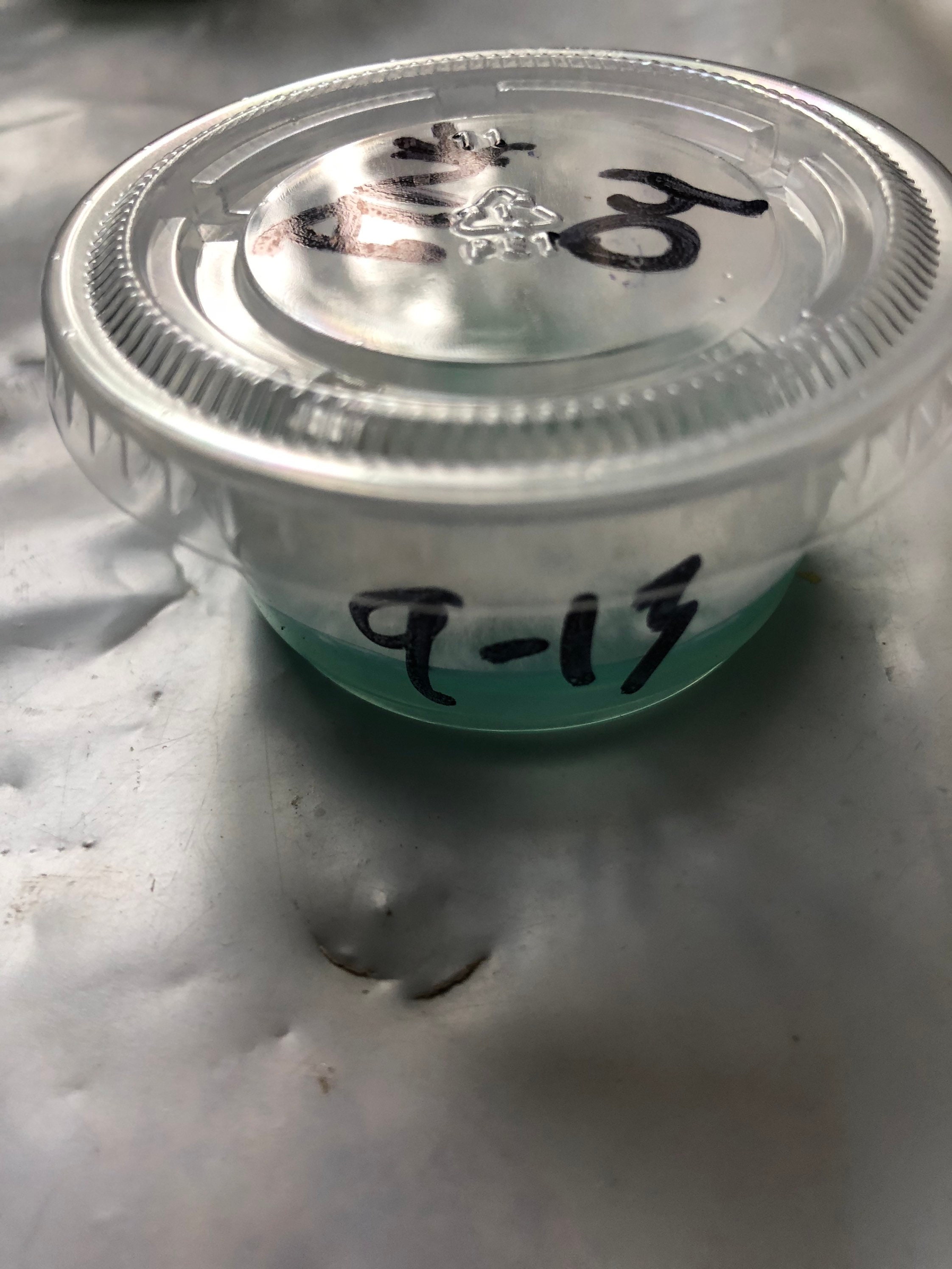 PINK Oyster Mycelium in a 2oz K Cup - Etsy