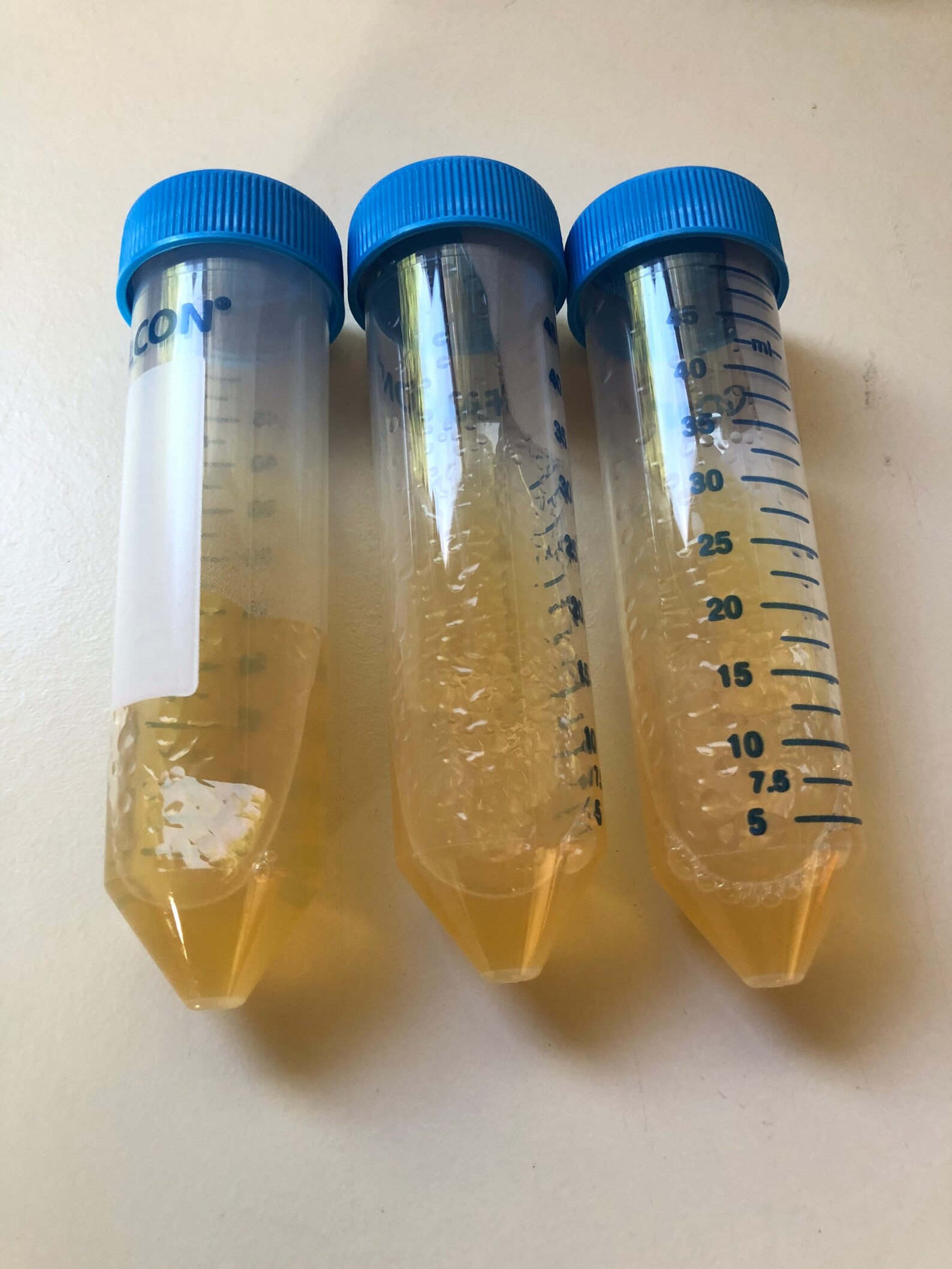 3 Pack of Potato Dextrose Agar 50ml Slant Tubes - Etsy