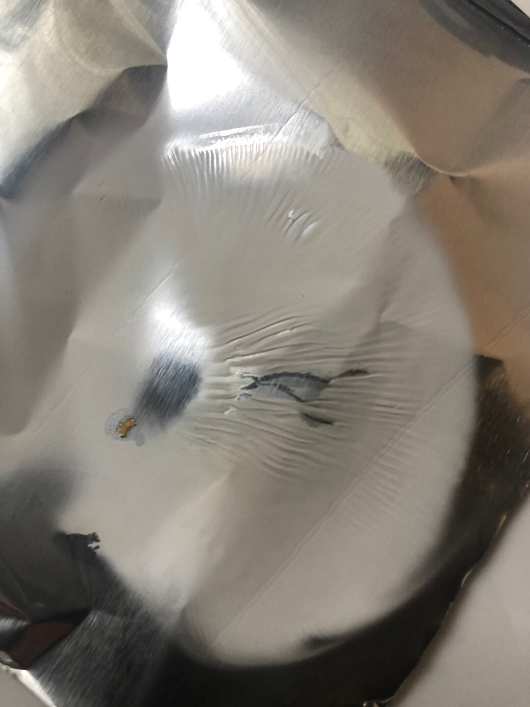 Blue Oyster Spore Print - Etsy