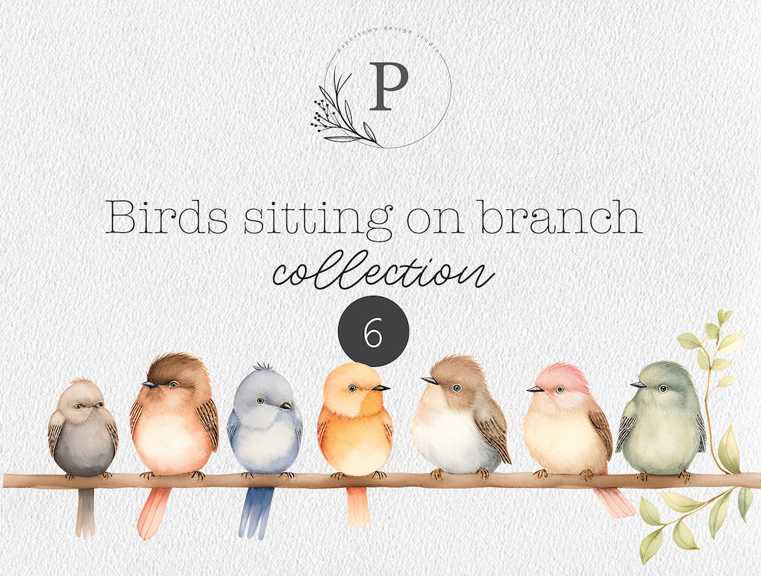 Watercolor Birds Sitting on a Branch Border Clipart ,PNG Files, Digital ...
