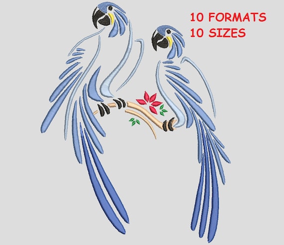 Two Parrot Embroideryparrot Embroidery Design Bird | Etsy