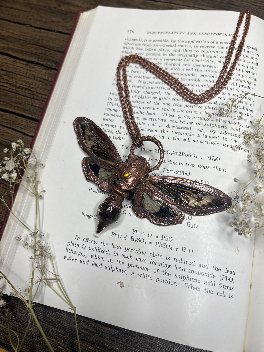 Real Cicada Potion Bottle // Garnet Chips // Electroformed - Etsy